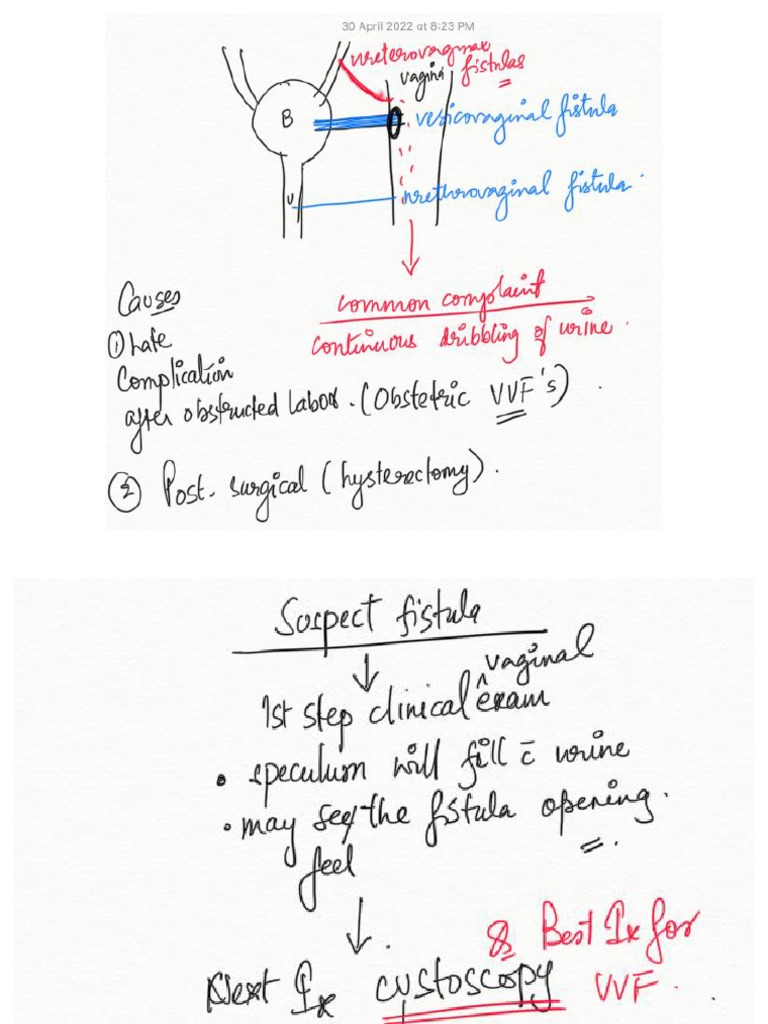 Ob Gyne | PDF