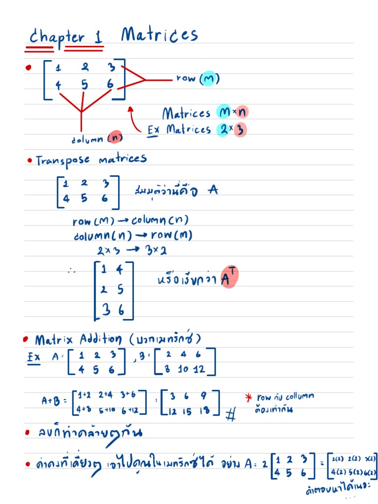 Chapter 1 - Matrices 2 | PDF