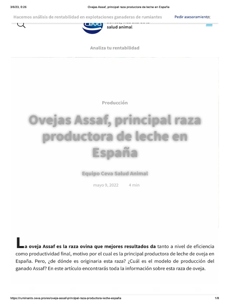 Ovejas Assaf | PDF
