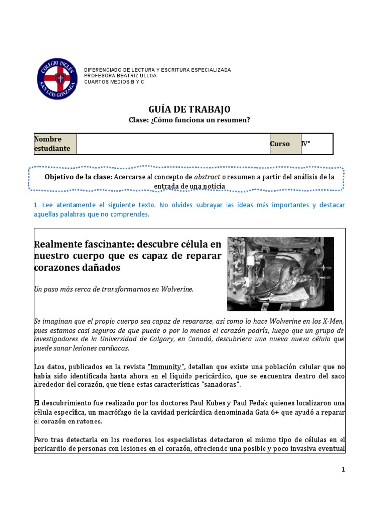 Guia Diferenciado - Cómo Funciona Un Resumen | PDF | Corazón