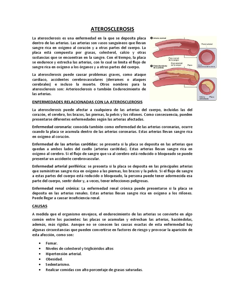 Aterosclerosis: Causas y Prevención | PDF | Aterosclerosis | Carrera