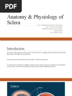 Pupillary Pathway, Pupillary Abnormalities, RAPD | PDF | Nervous System ...