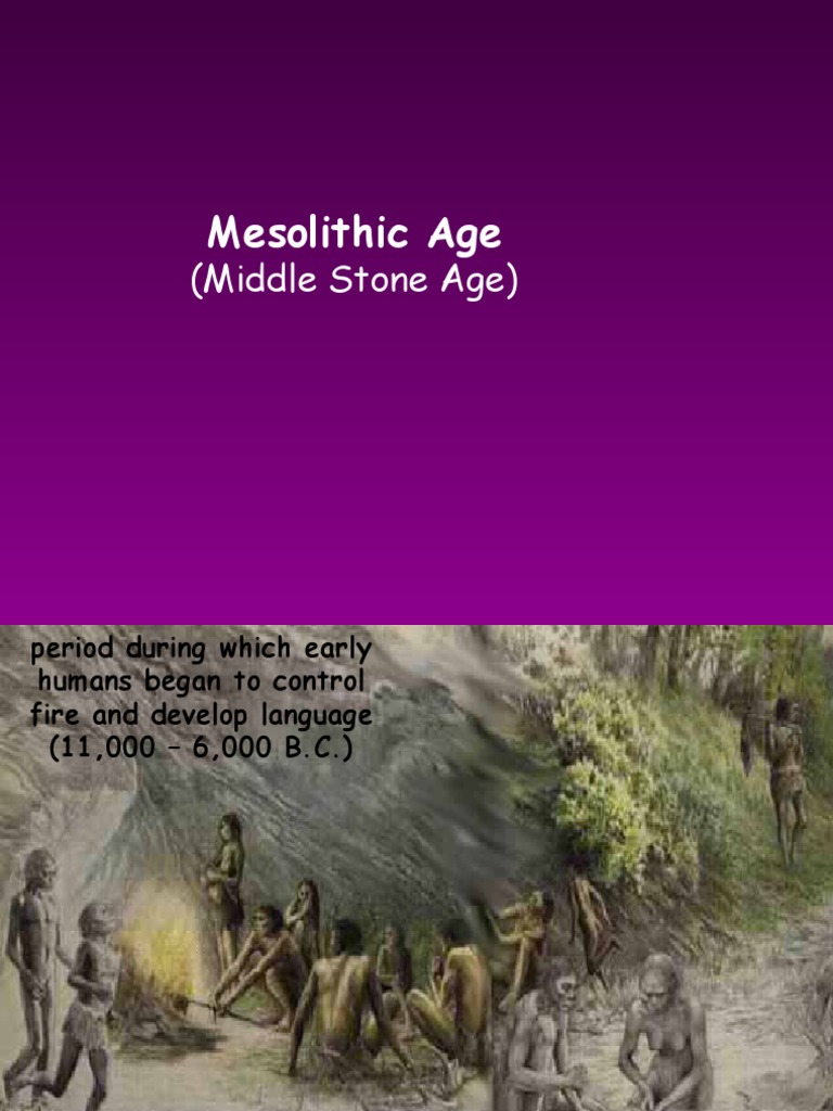Mesolithic Age | Stone Age | Neolithic