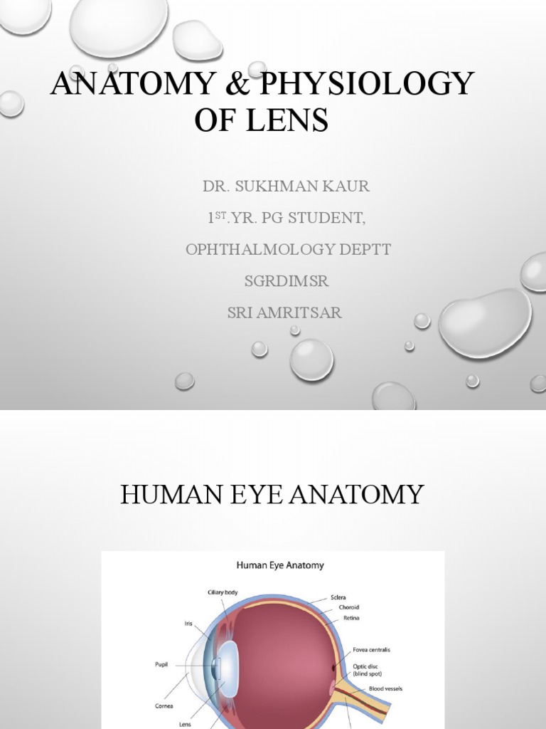 Anatomy & Physiology of Lens | PDF | Epithelium | Metabolism