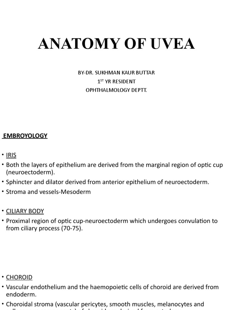 Anatomy of the Uveal Tract | PDF | Home & Garden | Wellness
