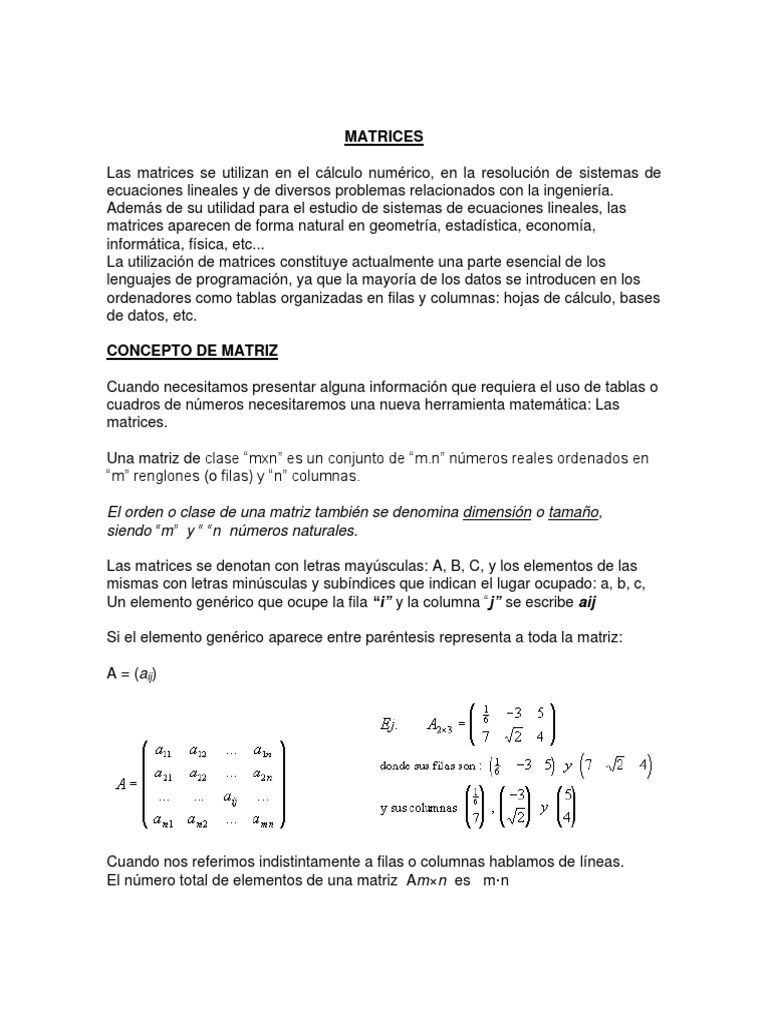 Apunte Matrices | PDF | Matriz (Matemáticas) | Teoría de la matriz