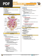 Urodynamics Normal Values Guide | PDF | Urinary Incontinence | Urination