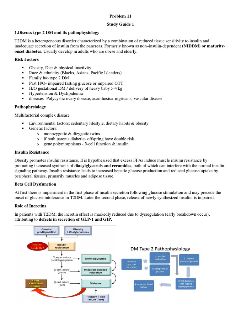 Problem 11 Study Guide 1 1.discuss Type 2 DM and Its Pathophysiology | PDF | Insulin Resistance ...