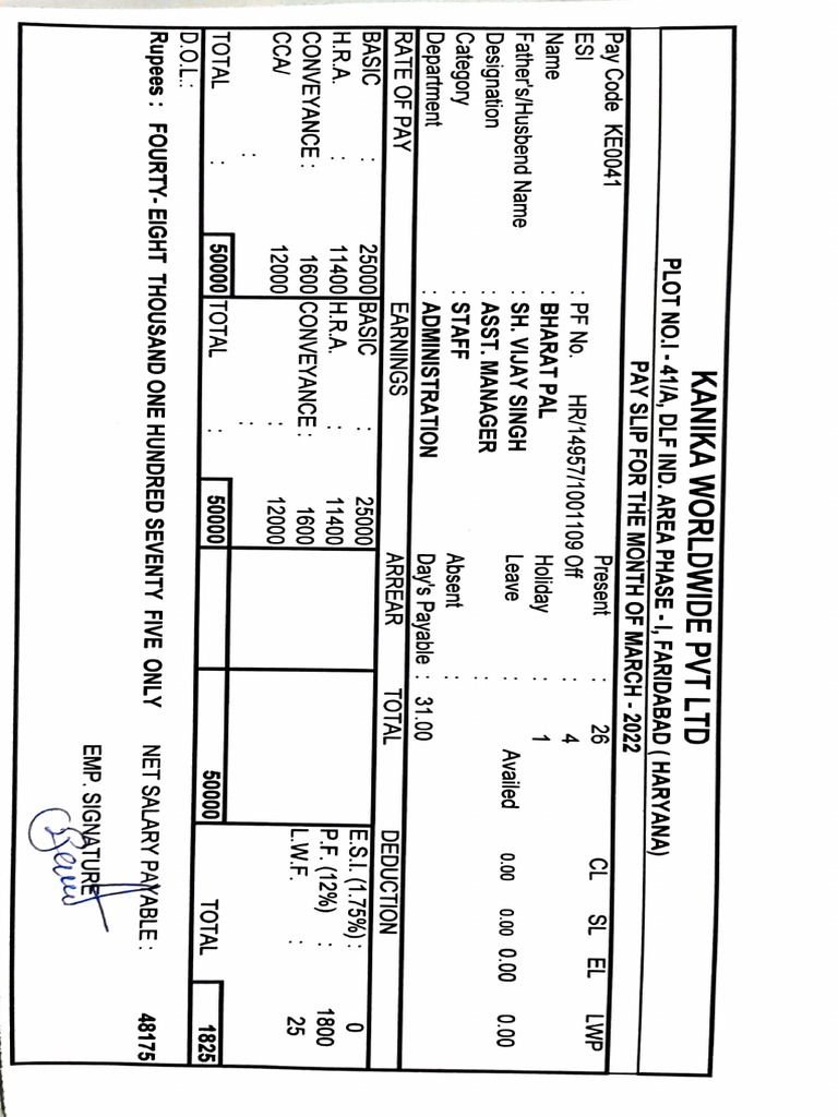 Pay Slip | PDF