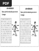 Esqueleto humano para recortar y armar | PDF