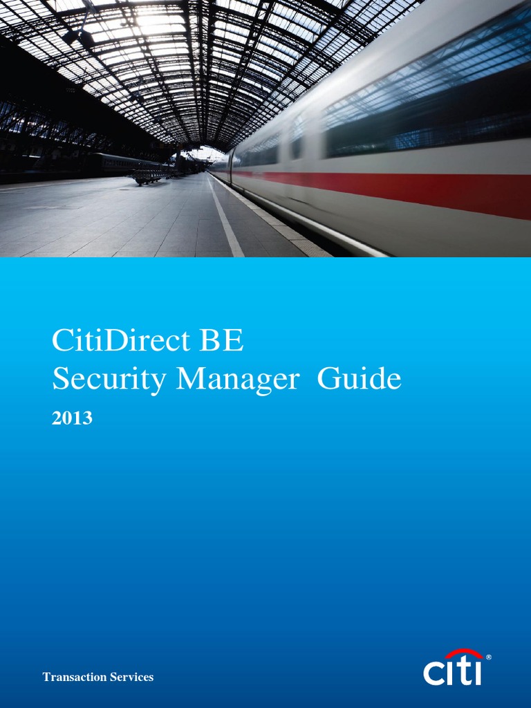 CitiDirect BE SM Guide | PDF | Ventana (informática) | Usuario ...
