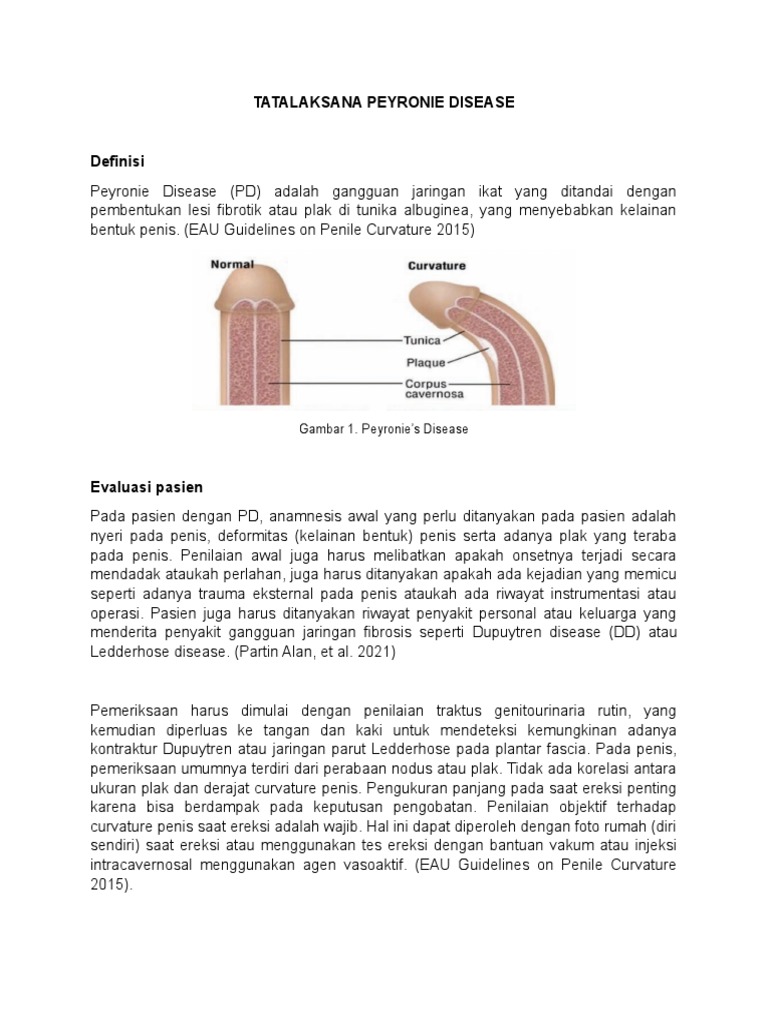 Tatalaksana Penyakit Peyronie | PDF | Sains & Matematika