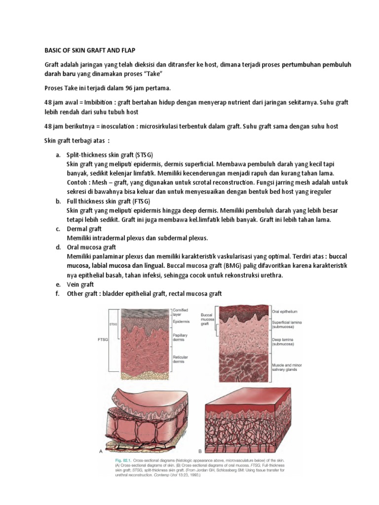 Basic of Skin Graft and Flap | PDF