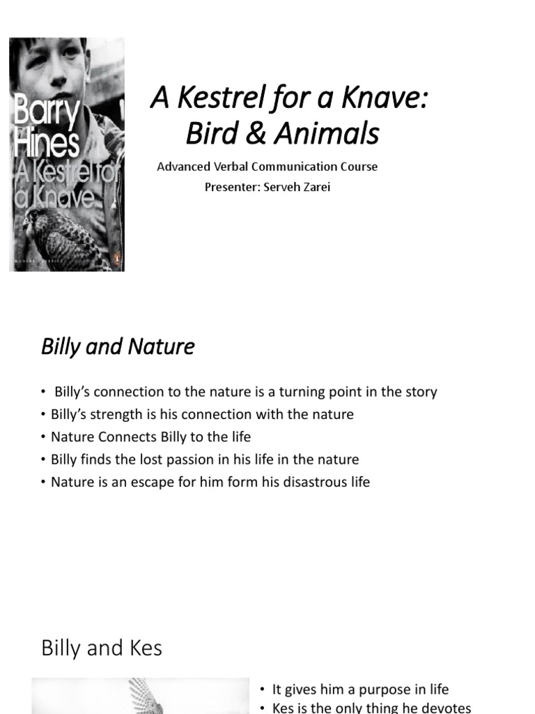 A Kestrel For A Knave | PDF