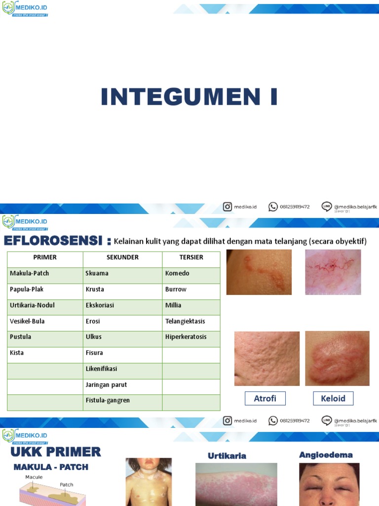Integumen 1 Exitclass Mediko | PDF