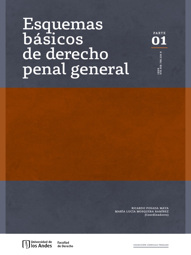 Esquemas Basicos Derecho | PDF | Derecho penal | Debido al proceso