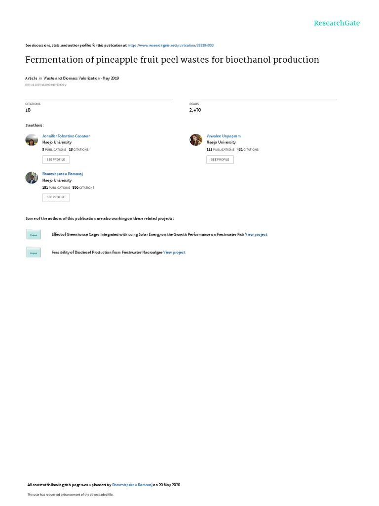 Bioethanol from Pineapple Waste | PDF | Biofuel | Ethanol