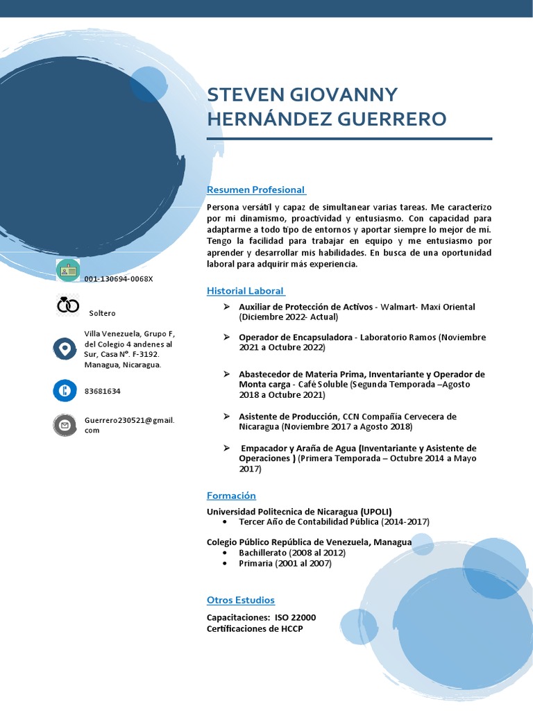 Curriculum Steven | PDF