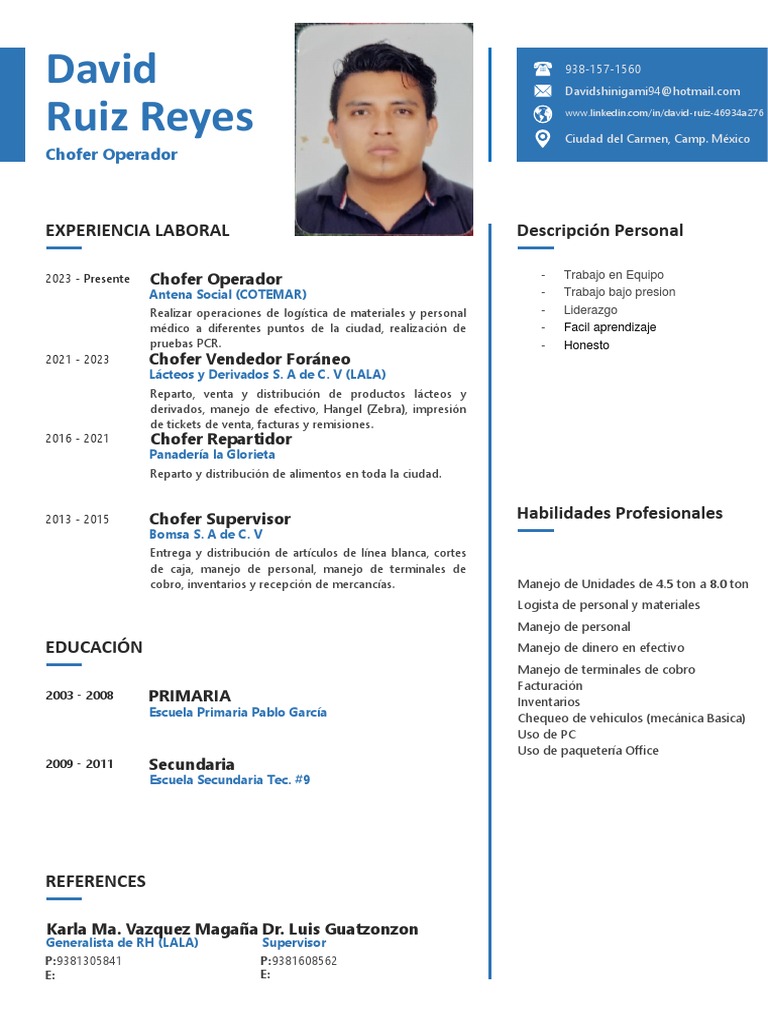 CV David Reyes | PDF