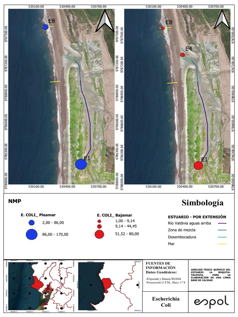 Mapa - E. Coli | PDF