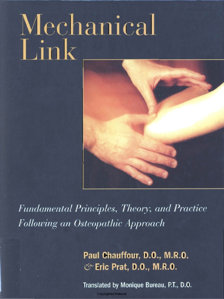 Chauffour - Mechanical Link - Fundamental Principles Theory and ...