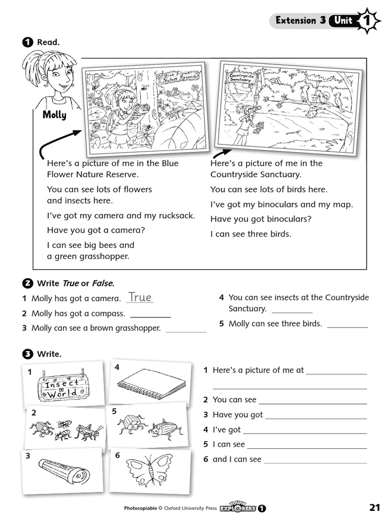 Young Explorers 1 - Unit 1 - Extension 3 (Unit 1) | PDF
