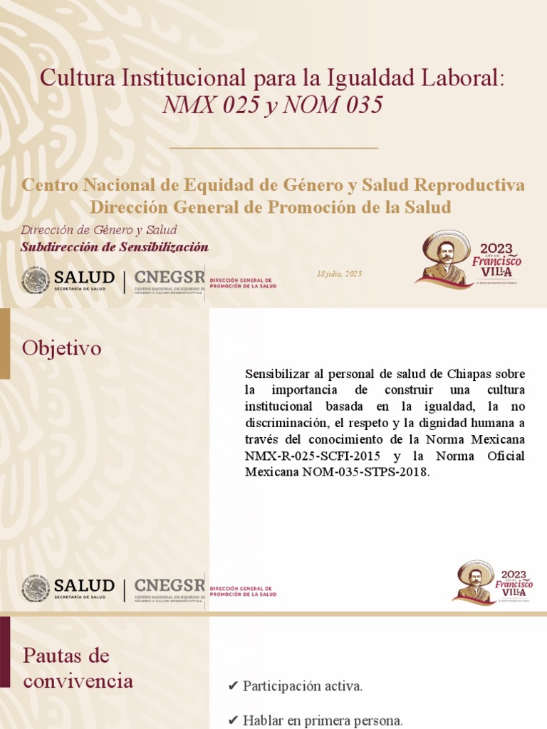 PP Colectivo - NMX025 Y NOM 035 | PDF