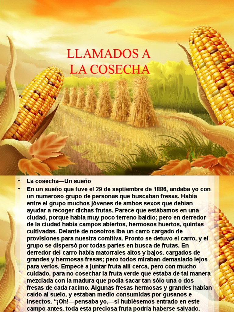 La Cosecha | PDF | fresa