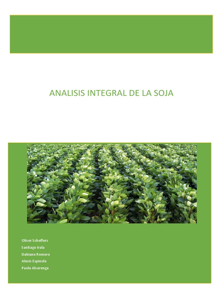 Trabajo Sobre Soja | PDF | Haba de soja | Alimentos
