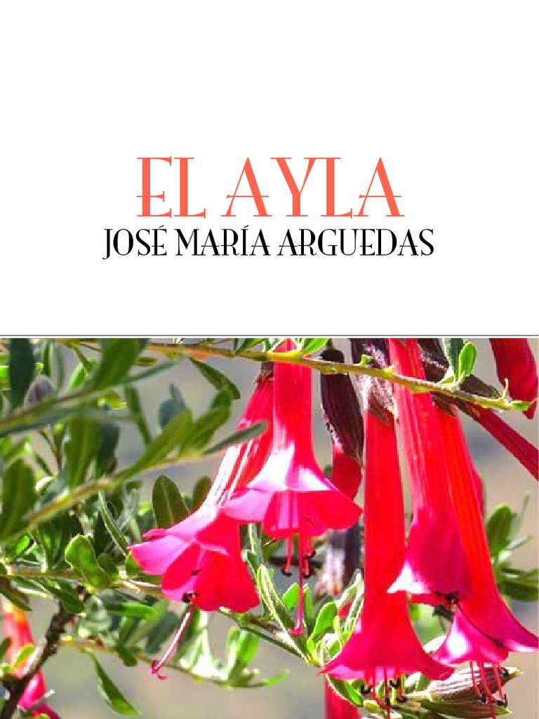 El Ayla | PDF