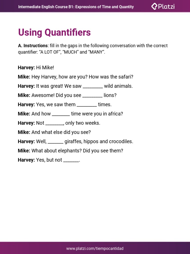 Class 8 - Worksheet For Using Quantifiers | PDF