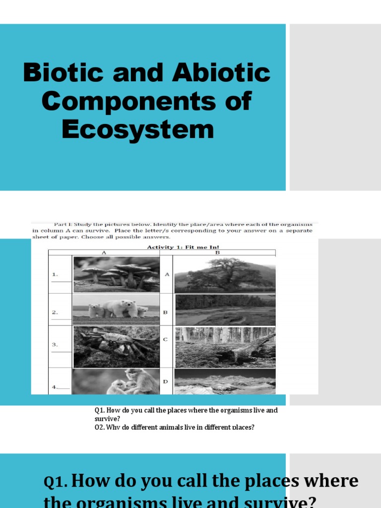 Biotic and Abiotic Components of Ecosystem Grade 7 | PDF