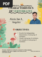 Vertebrate Characteristics Lesson | PDF | Vertebrates | Mammals