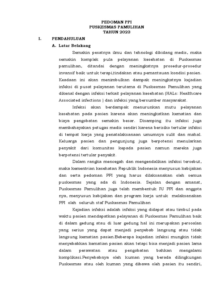 Program Ppi Tahun 2023 | PDF