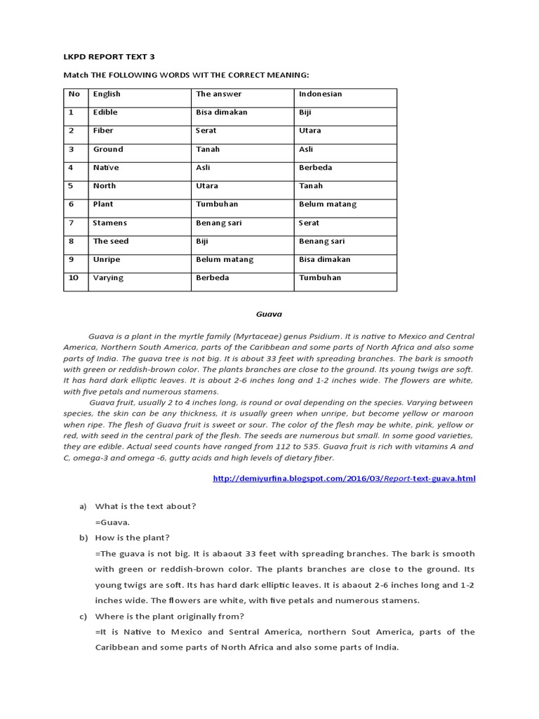 LKPD Report Text 3 | PDF | Food And Drink | Foods