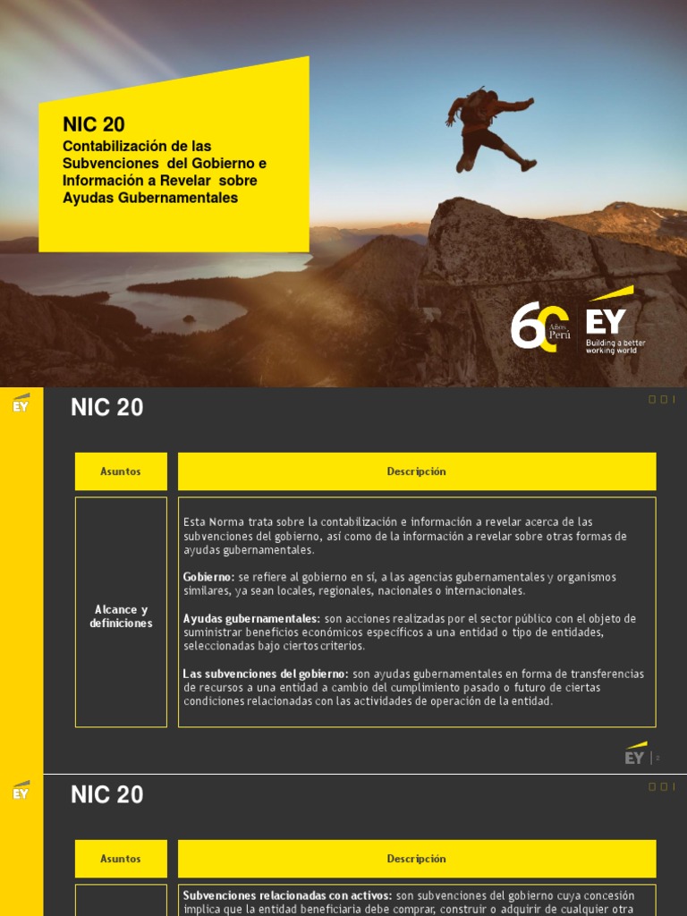 NIC 20 Subvenciones Del Gobierno | PDF | normas internacionales de ...