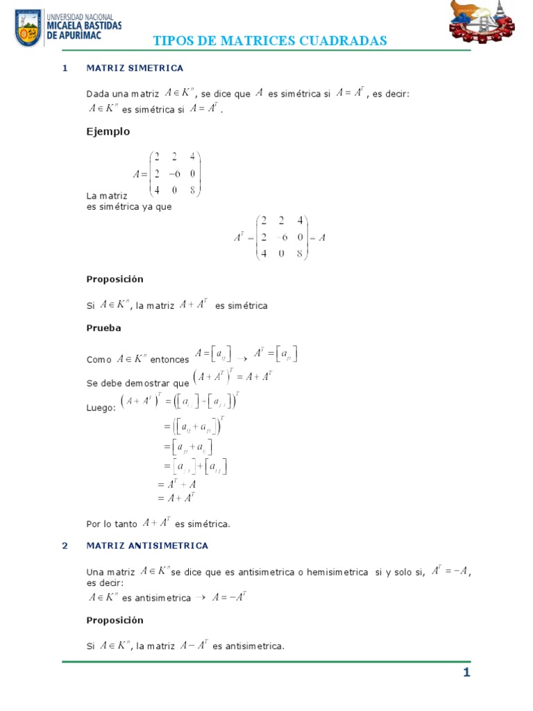 Tipos de Matrices Cuadradas | PDF