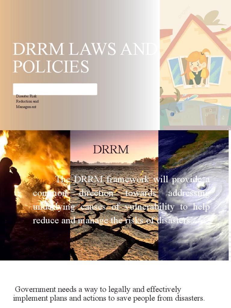 DRRM Laws and Policies: Disaster Risk Reduction and Management ...
