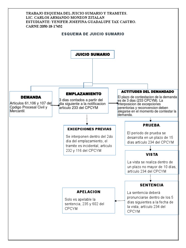 Esquema de Juicio Sumario | PDF | Ley procesal | Ley Pública
