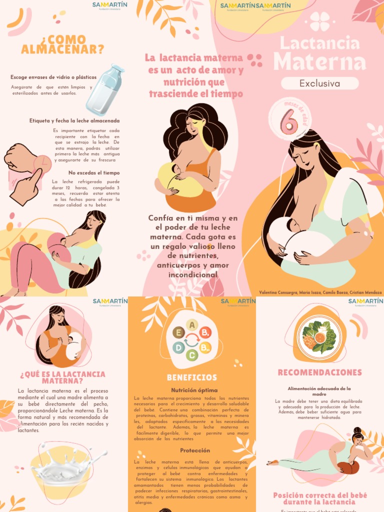 Lactancia Materna Exclusiva Folleto Pdf