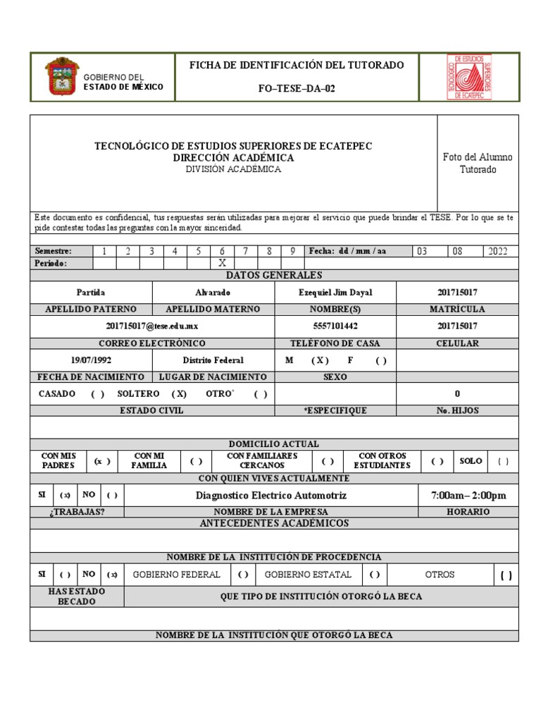 Ftos-Tutorias Reporte (Vacío) (1) 1 | PDF