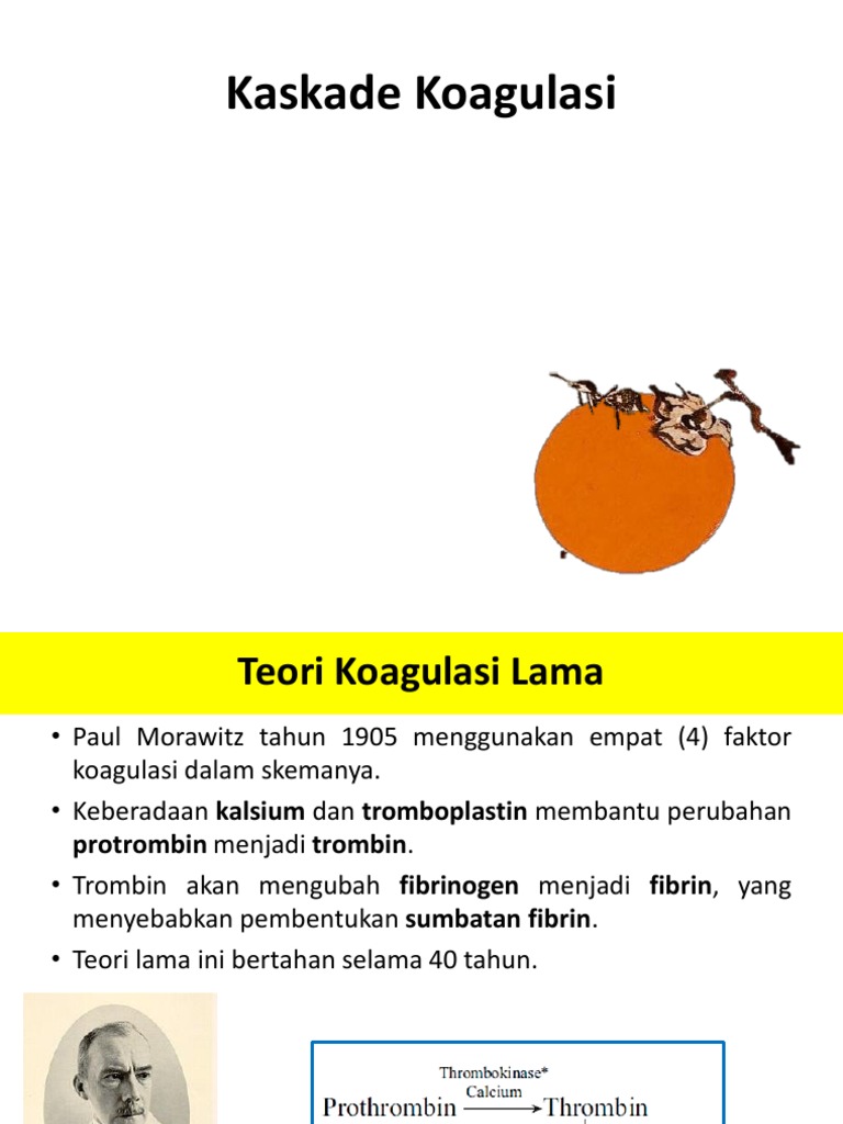 Teori Kaskade Koagulasi | PDF