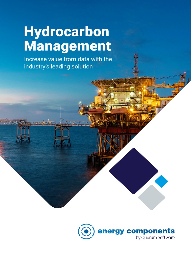 Energy Components - Hydrocarbon Management | PDF