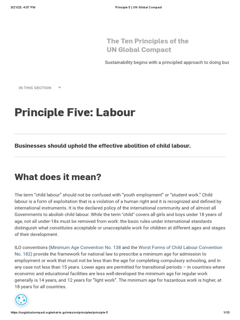 Principle 5 - UN Global Compact | PDF | International Labour ...