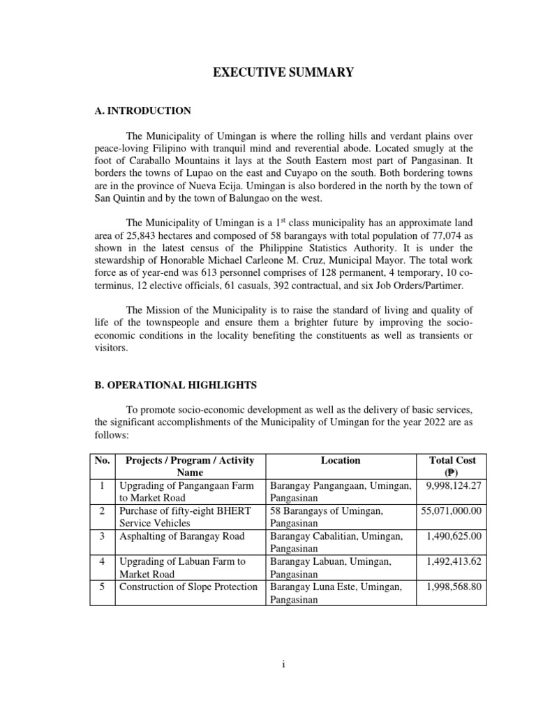 Umingan Executive Summary 2022 | PDF