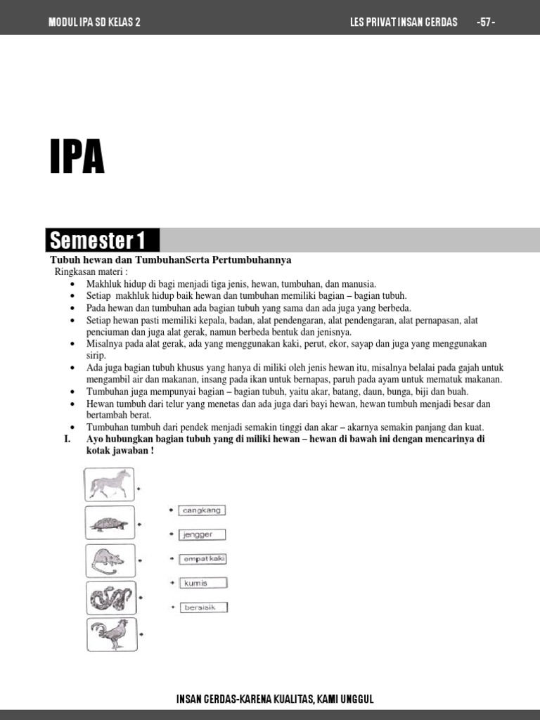 Ipa 2 | PDF