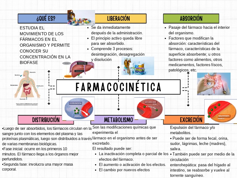 Mapa Conceptual, farmacocinética. Emily Miño | PDF