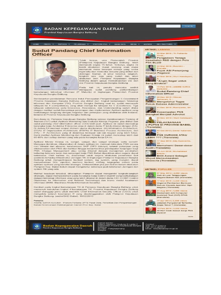 1 ANDRE SURYA KUSUMA Sudut Pandang Chief Information Officer | PDF