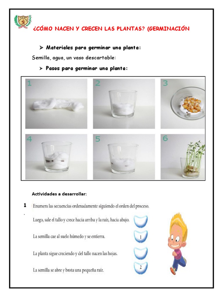 Germinación de Plantas para Niños | PDF