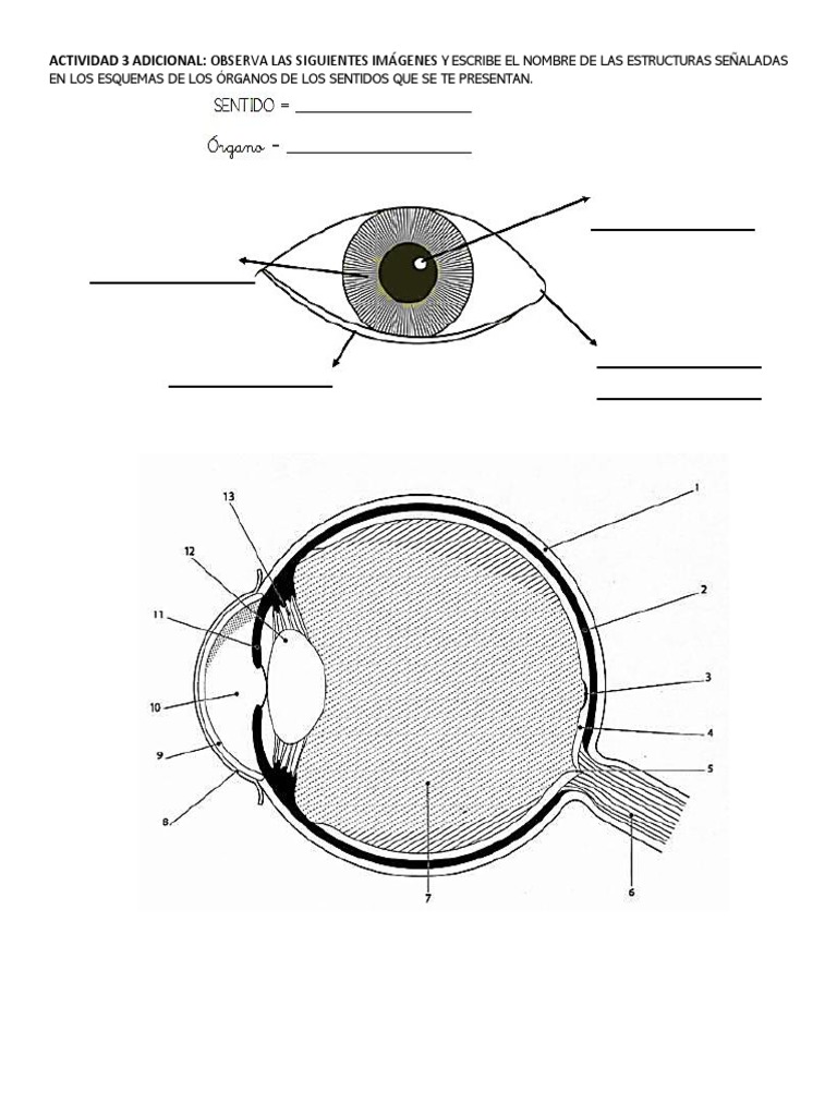 Actividad 3 Adicional | PDF